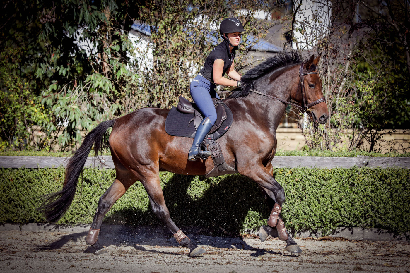Peter Horobin Saddlery and StrideFree Saddles and Accessories