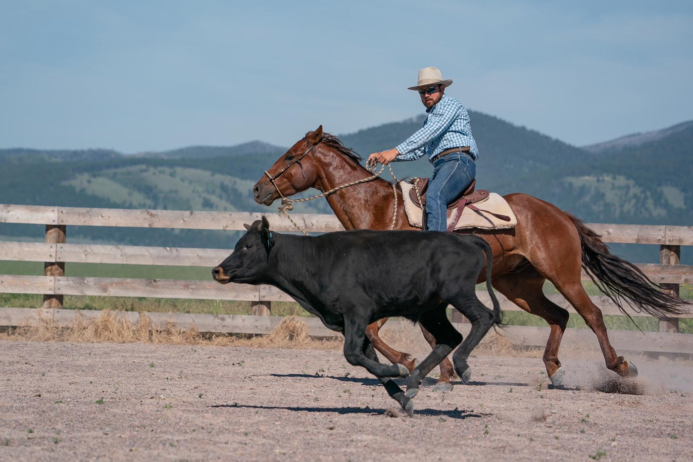 Peter Horobin Saddlery and StrideFree Saddles and Accessories