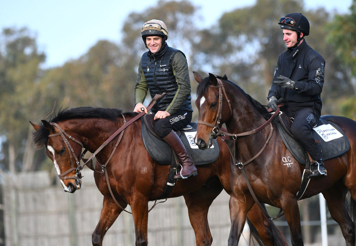 Peter Horobin Saddlery and StrideFree Saddles and Accessories