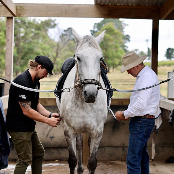AUSTRALIAN SADDLE FITTING SERVICES